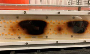 Preventing LED Damage: Understanding the Causes of Electrical Overstre ...