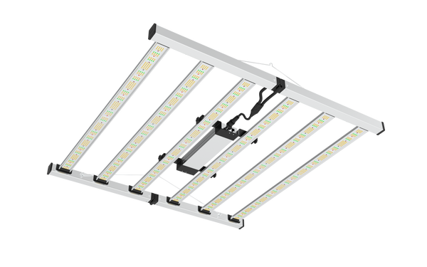 Products – Mammoth Lighting