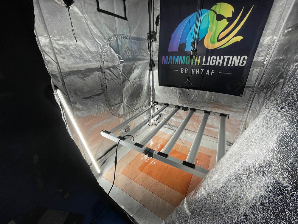 Clone and Inter-canopy LED grow light bar (2 bars per box), 50w each M ...