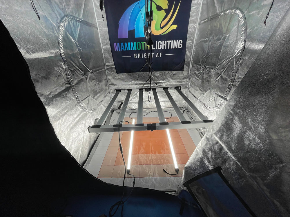 Clone and Inter-canopy LED grow light bar (2 bars per box), 50w each M ...