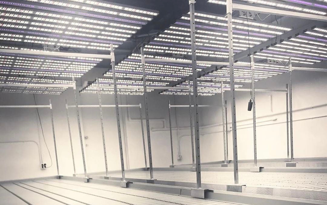 Mammoth Lighting offers commercial-grade LED grow lights