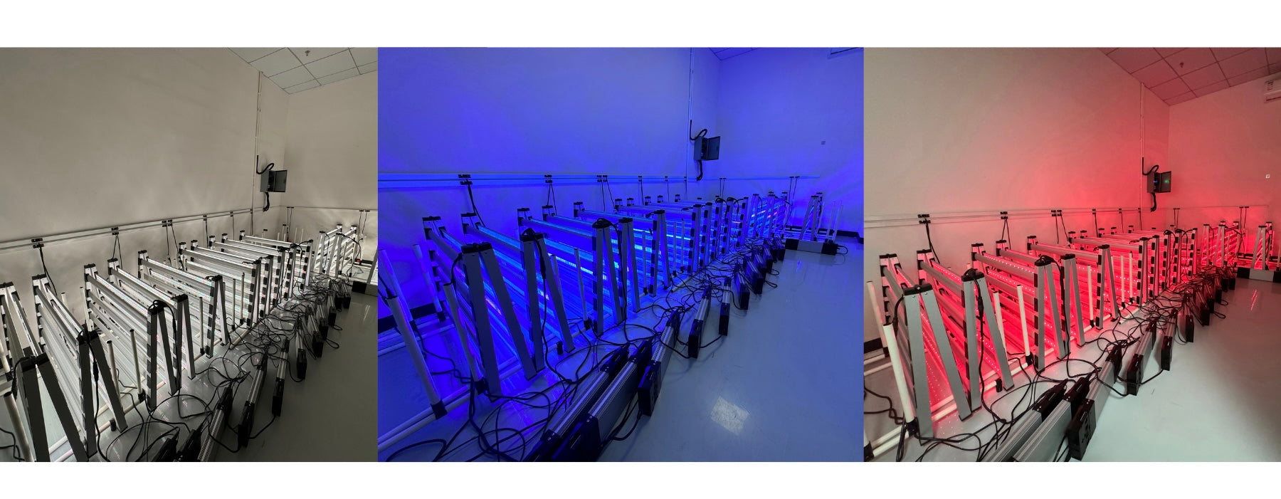 Mammoth Lighting | Engineered LED Grow Lights for Commercial & Home