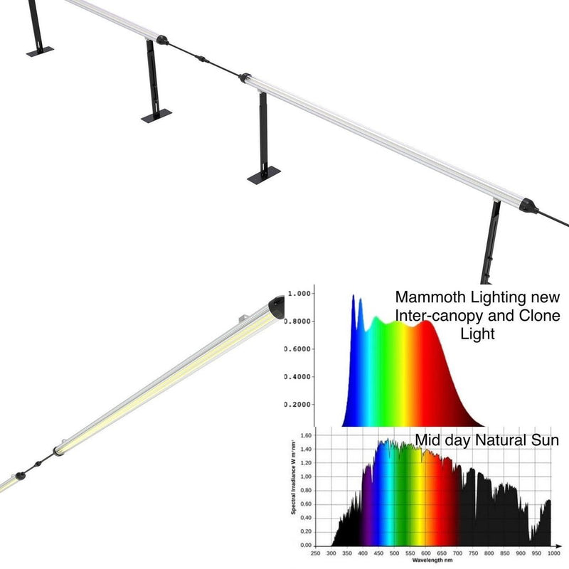 Mammoth Lighting | Engineered LED Grow Lights for Commercial & Home