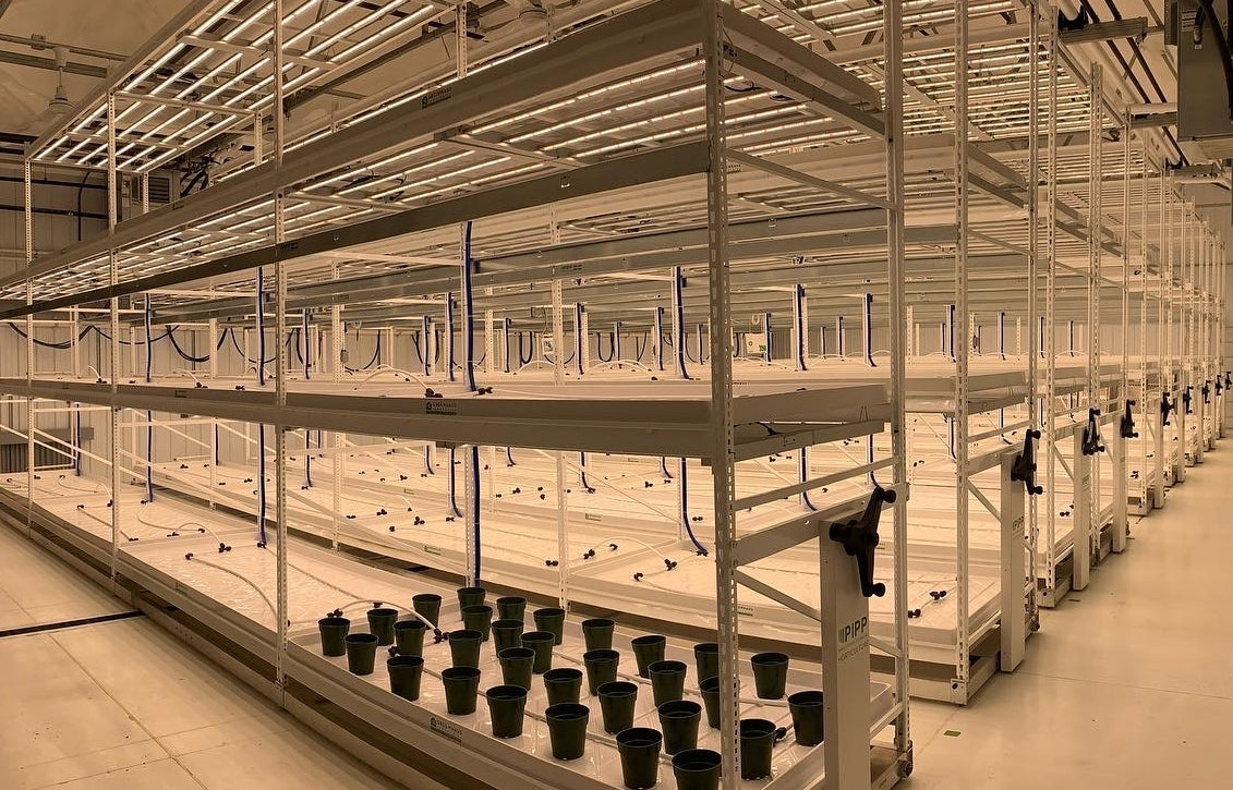 Mammoth Lighting | Engineered LED Grow Lights for Commercial & Home