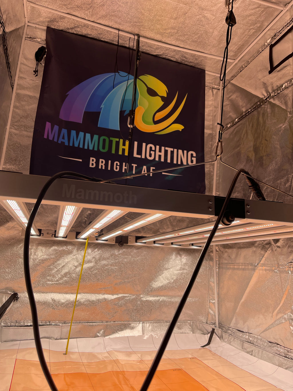 Room Banner - Mammoth Lighting Bright AF